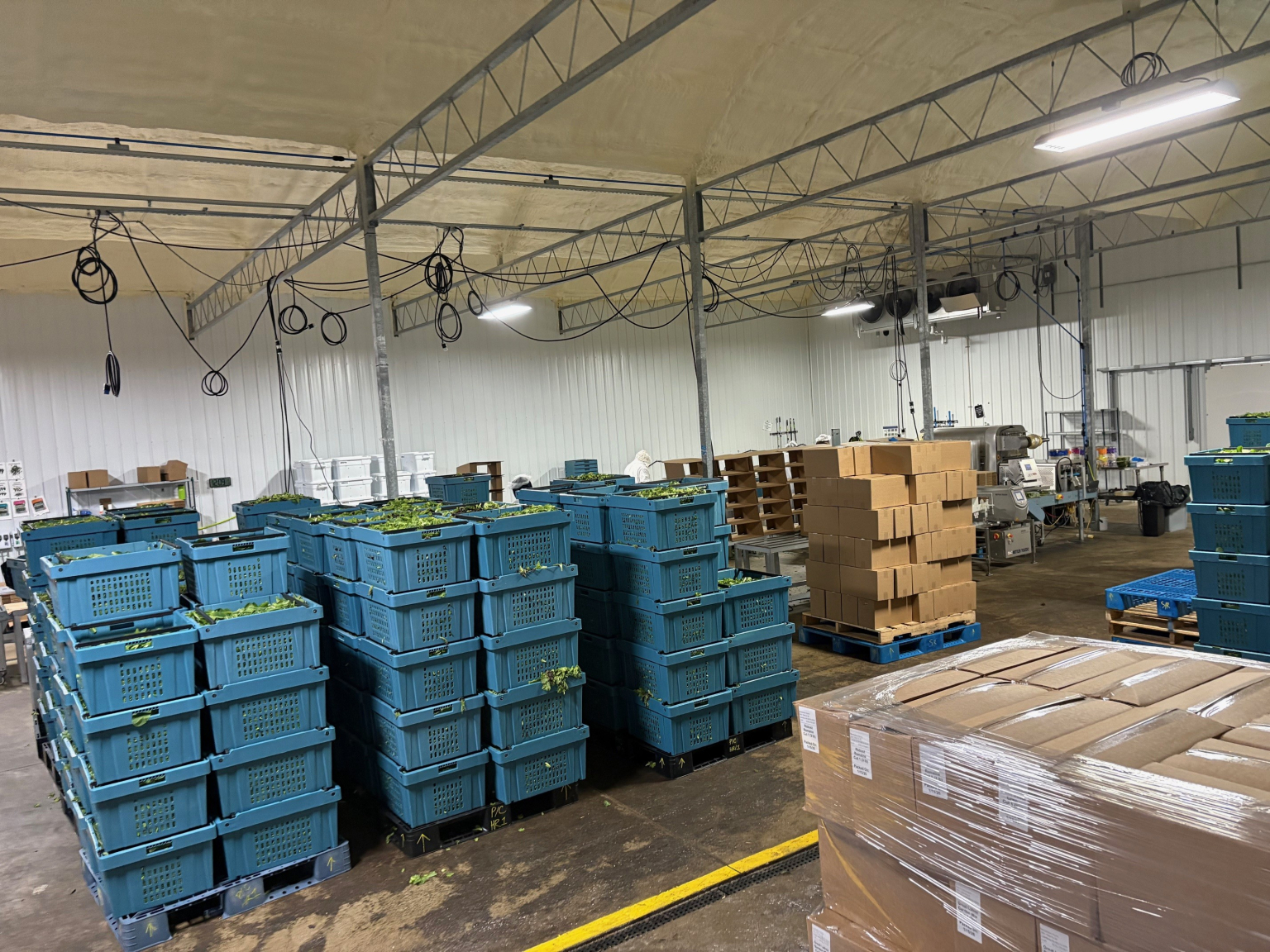 Home - Revolution Farms